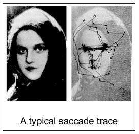 An Introduction To The Attentional Spotlight | Fewer Lacunae