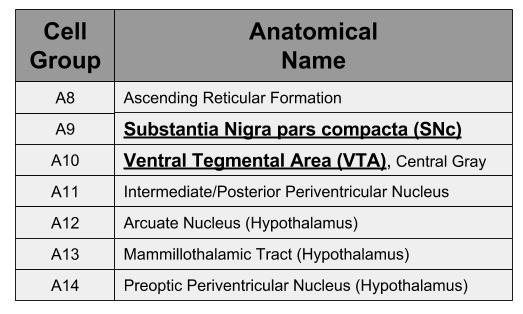 Basal Ganglia as Action Selector | Fewer Lacunae