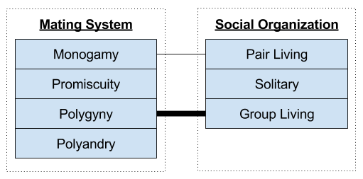 An Introduction To Primate Societies | Fewer Lacunae
