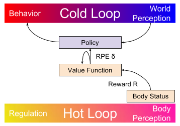 The Construction of Body Status | Fewer Lacunae