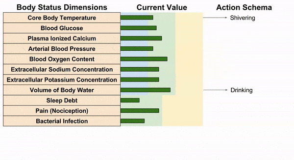 The Construction of Body Status | Fewer Lacunae