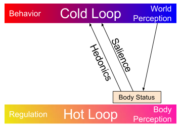 The Construction of Body Status | Fewer Lacunae