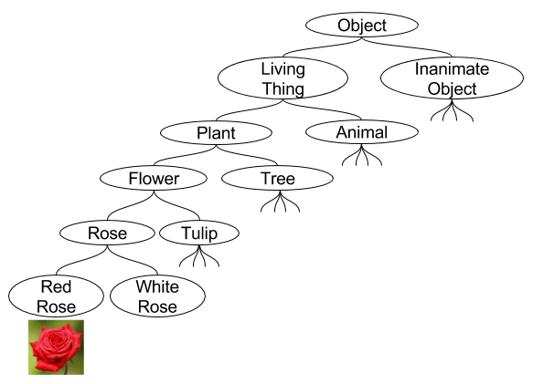 An Introduction to Set Theory | Fewer Lacunae